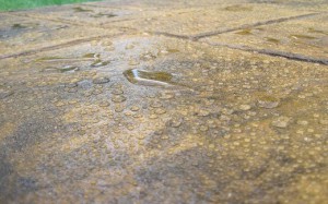 Concrete Supply - Frank J Fazzio & Sons Inc